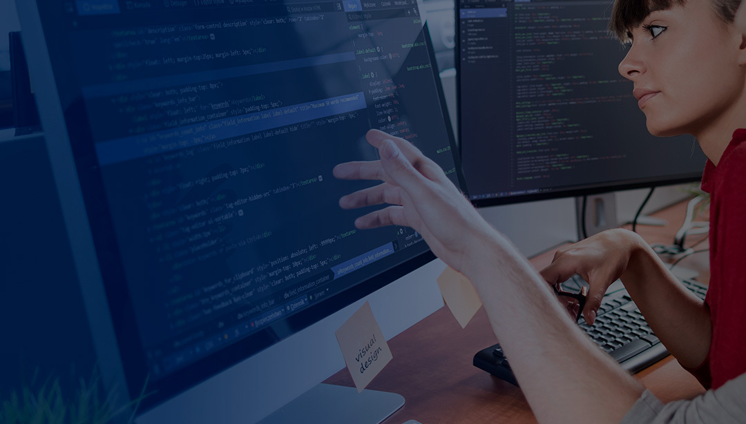 Técnico en desarrollo Web 2022